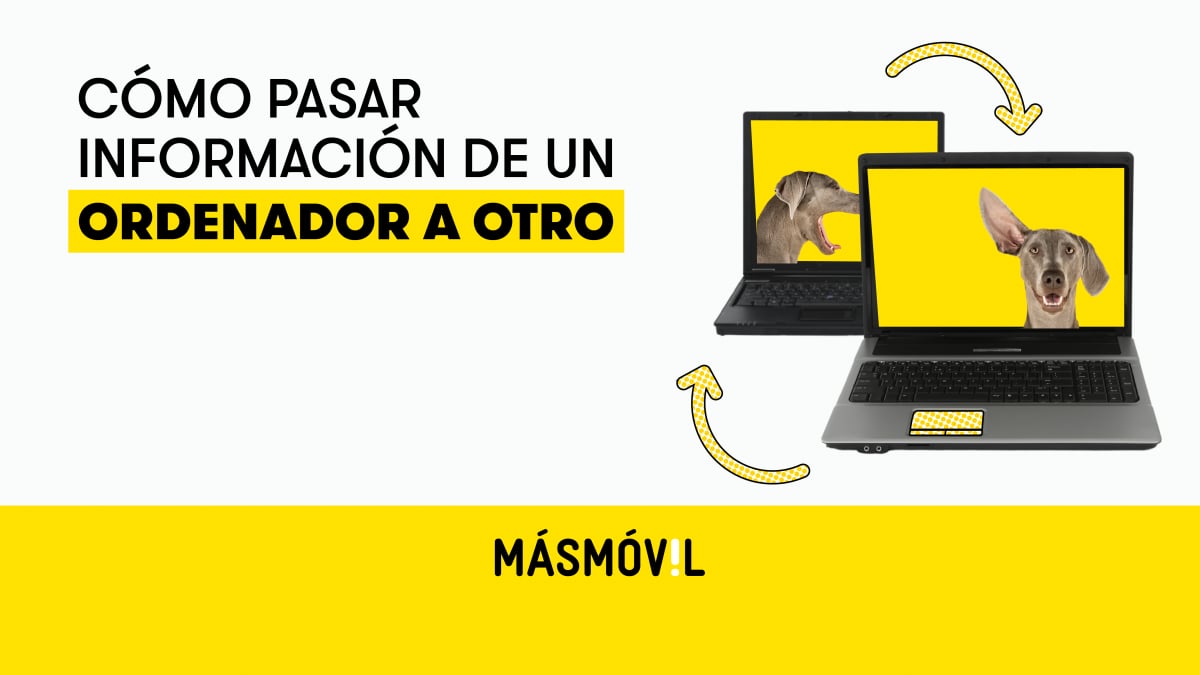 Cómo pasar información de un ordenador a otro: guía rápida | MASMOVIL