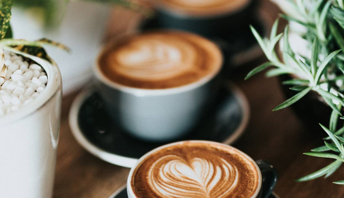World Café, un sistema que deberías implementar en tus proyectos | Blog ...