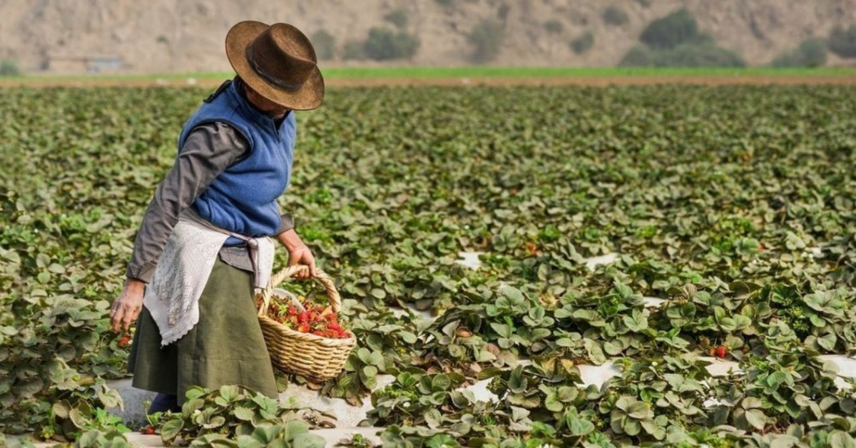 Comercio justo: qué es y cómo funciona en tu negocio | Blog MASMOVIL ...